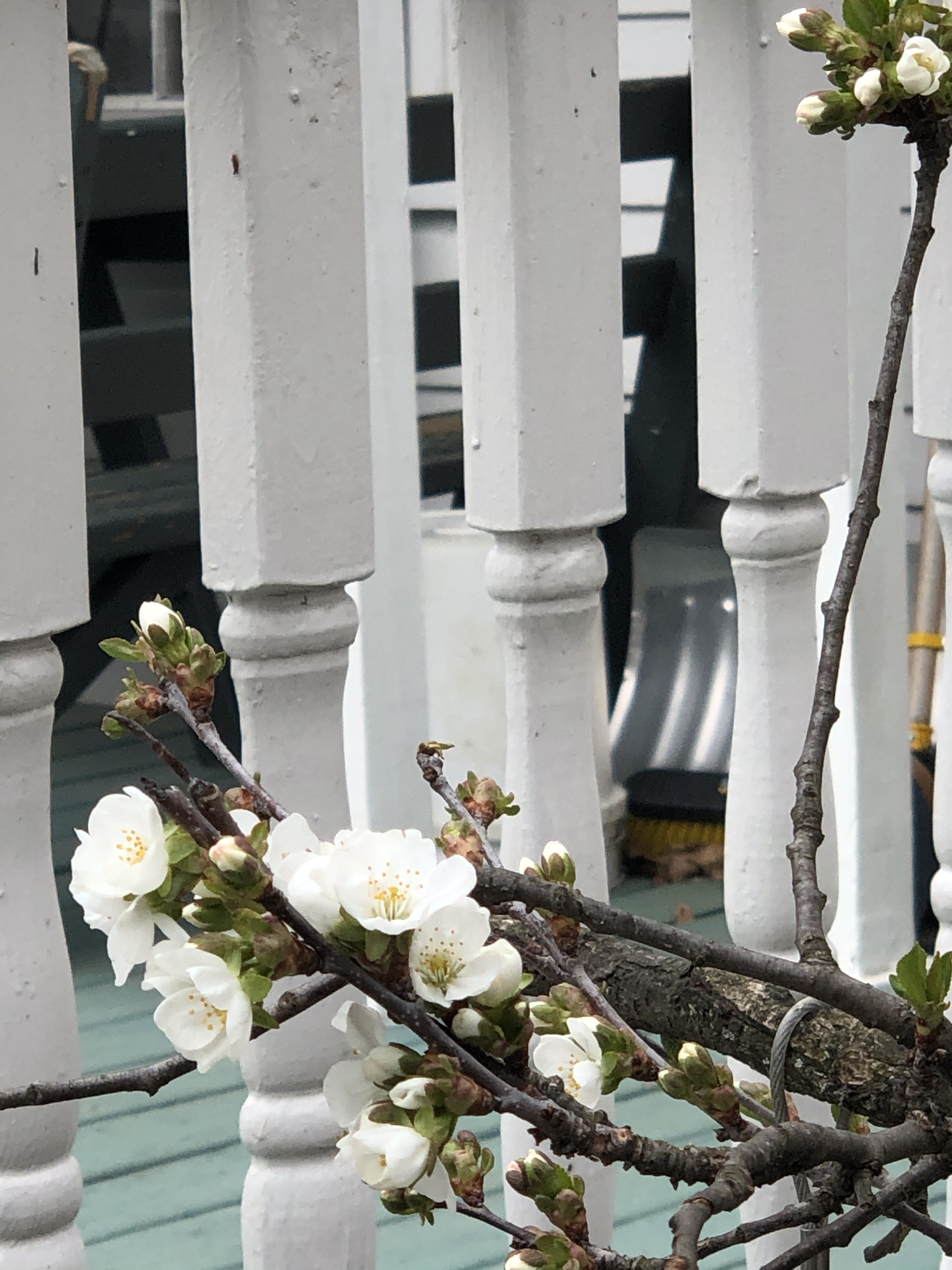 “Winter Meet Spring” | Saved By Words
