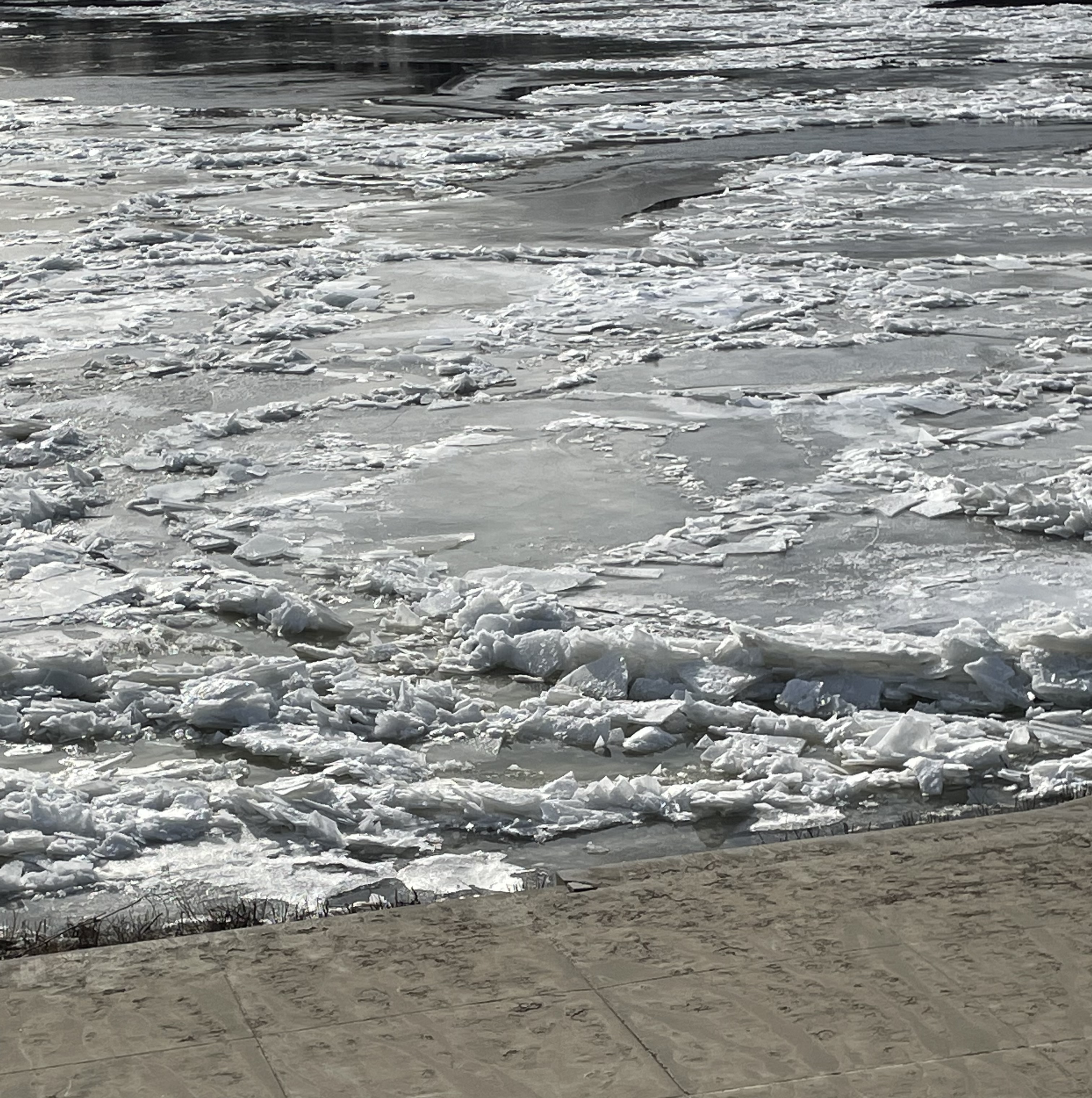 “Deep Freeze” | Saved By Words